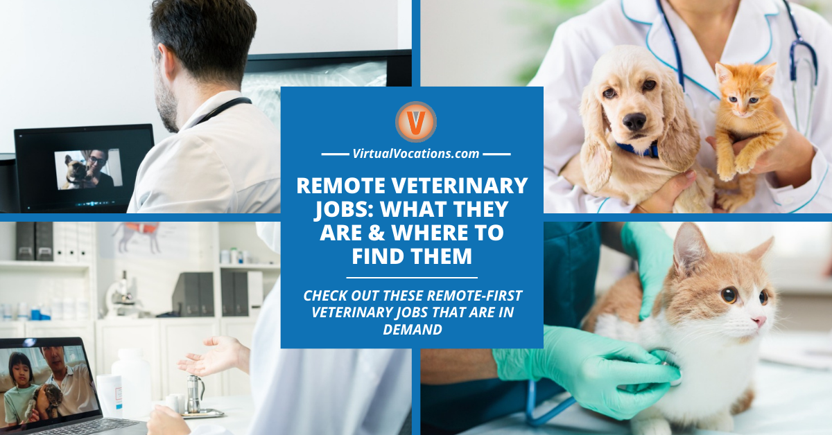 Remote Veterinary Jobs: What They Are & Where to Find Them